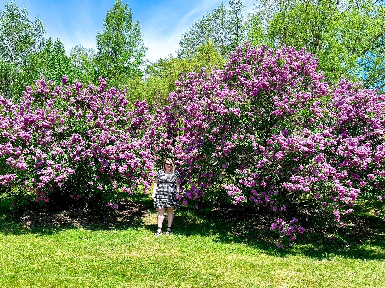A Perfect Spring Morning in Rochester, NY - buffalo gal travels