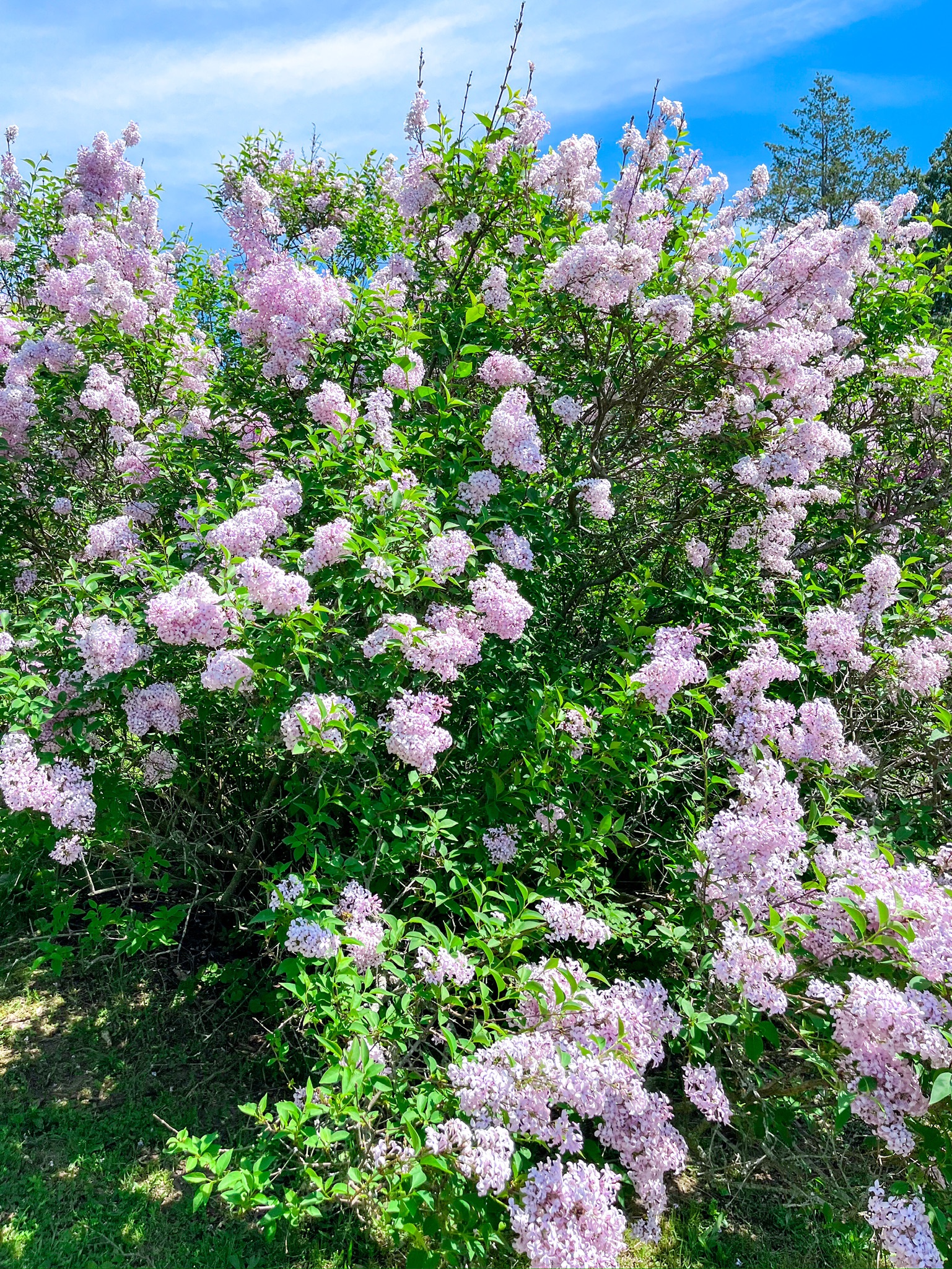 A Perfect Spring Morning in Rochester, NY - buffalo gal travels