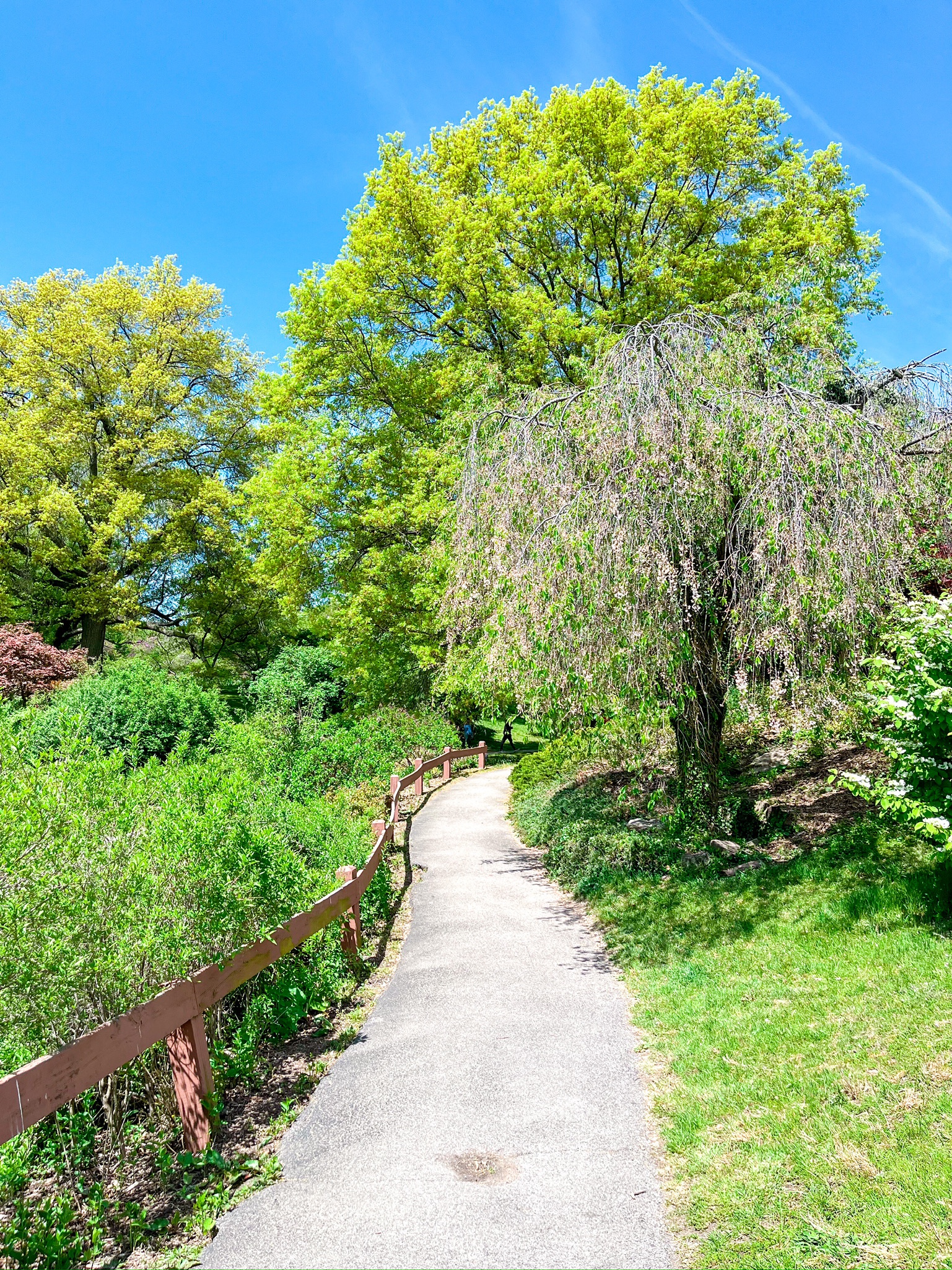 A Perfect Spring Morning in Rochester, NY - buffalo gal travels