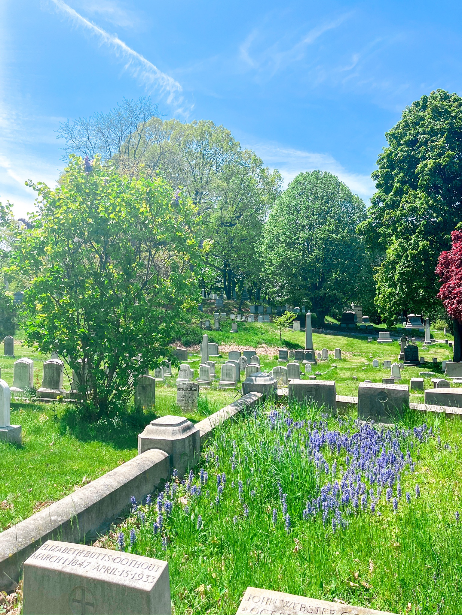 A Perfect Spring Morning in Rochester, NY - buffalo gal travels