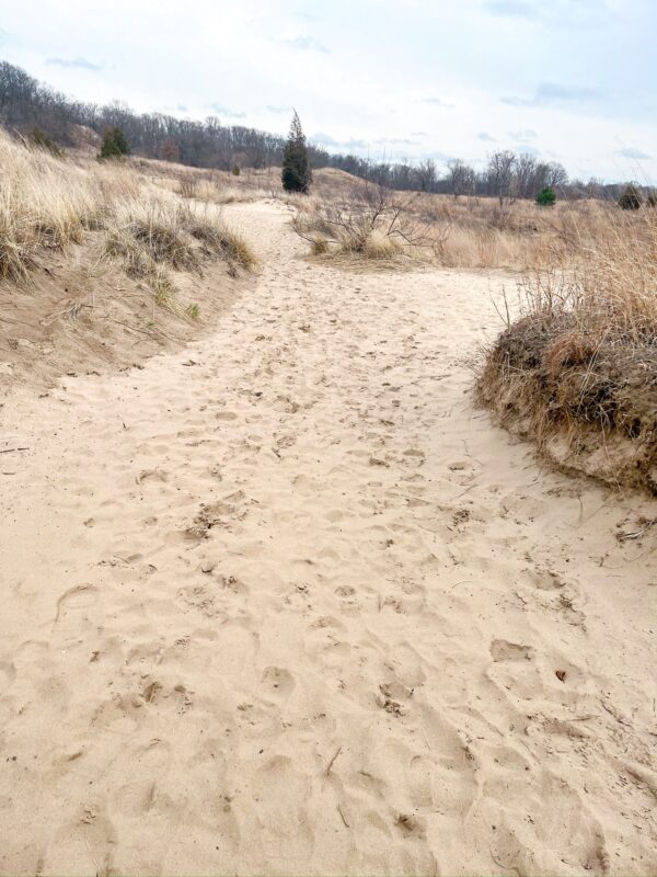 7 Hikes You Can't Miss in Indiana Dunes National Park (and All the Ones ...
