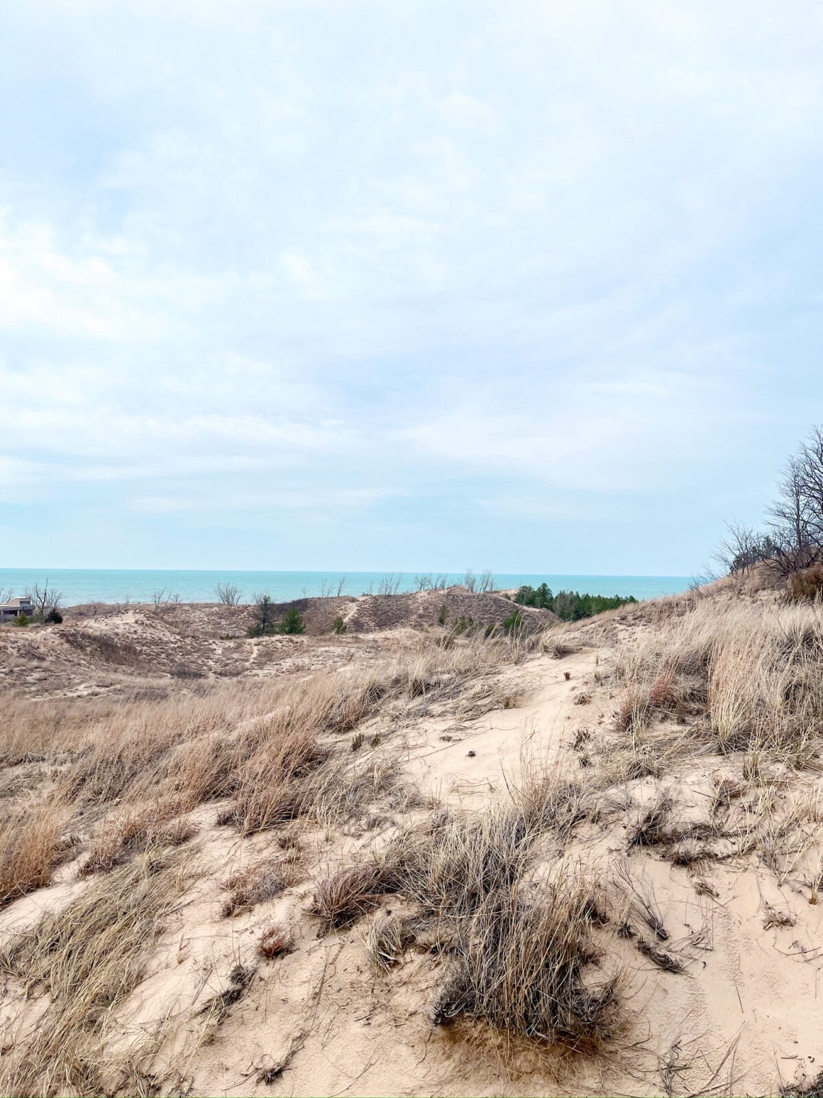 7 Hikes You Can't Miss in Indiana Dunes National Park (and All the Ones ...
